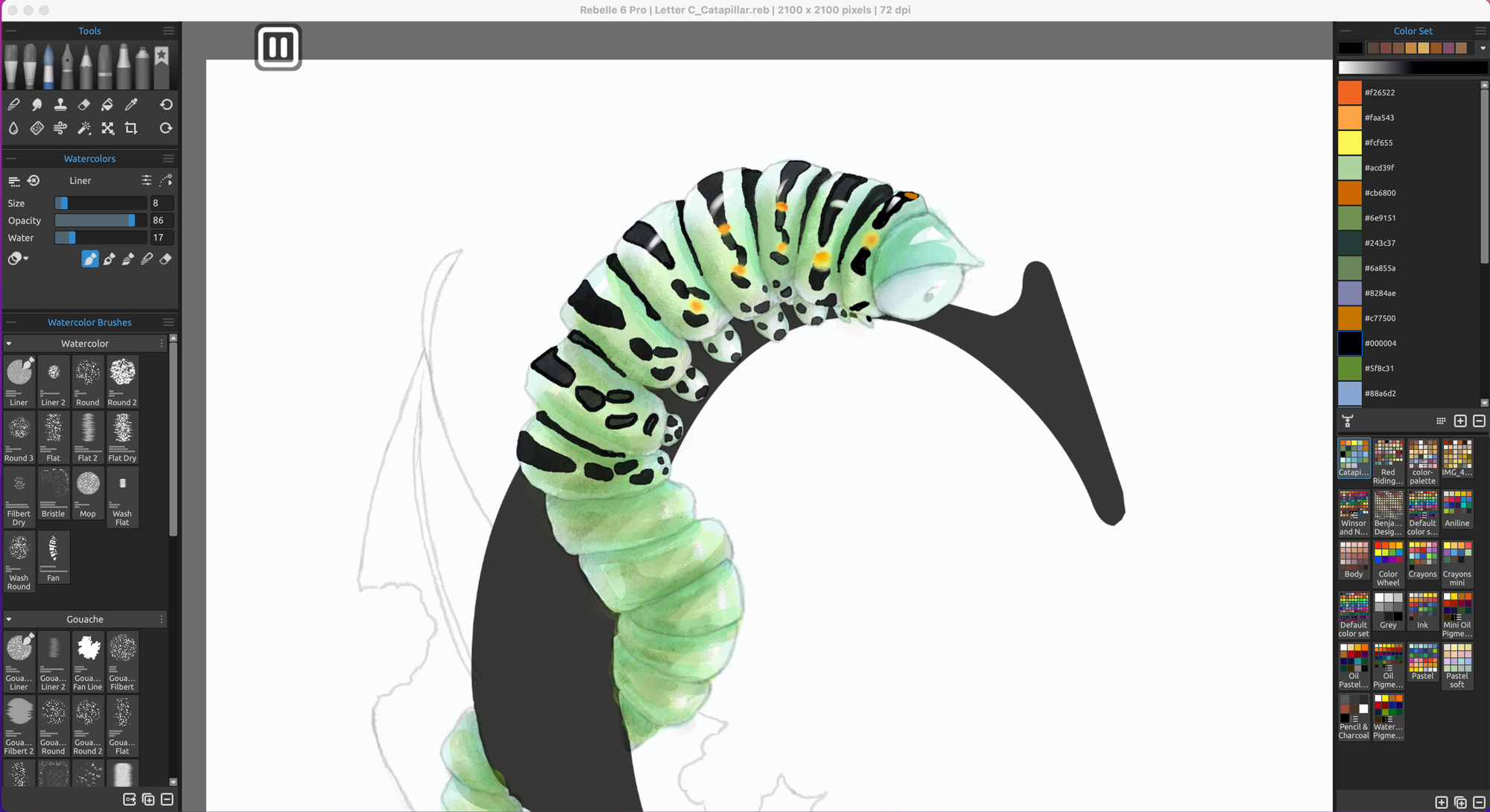 Illustration – “C” is for Caterpillar & … – Liza Hartman Design